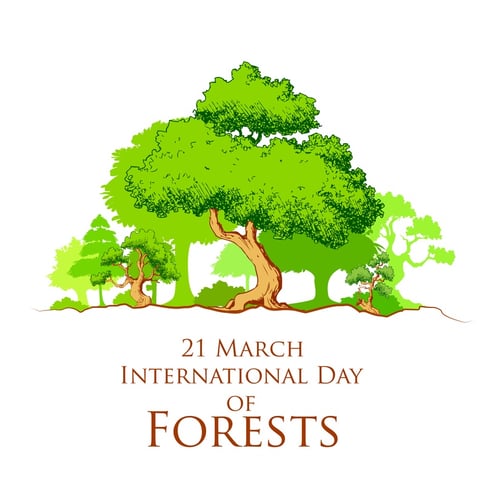 Celebrating the World's Woods –International Day of Forests