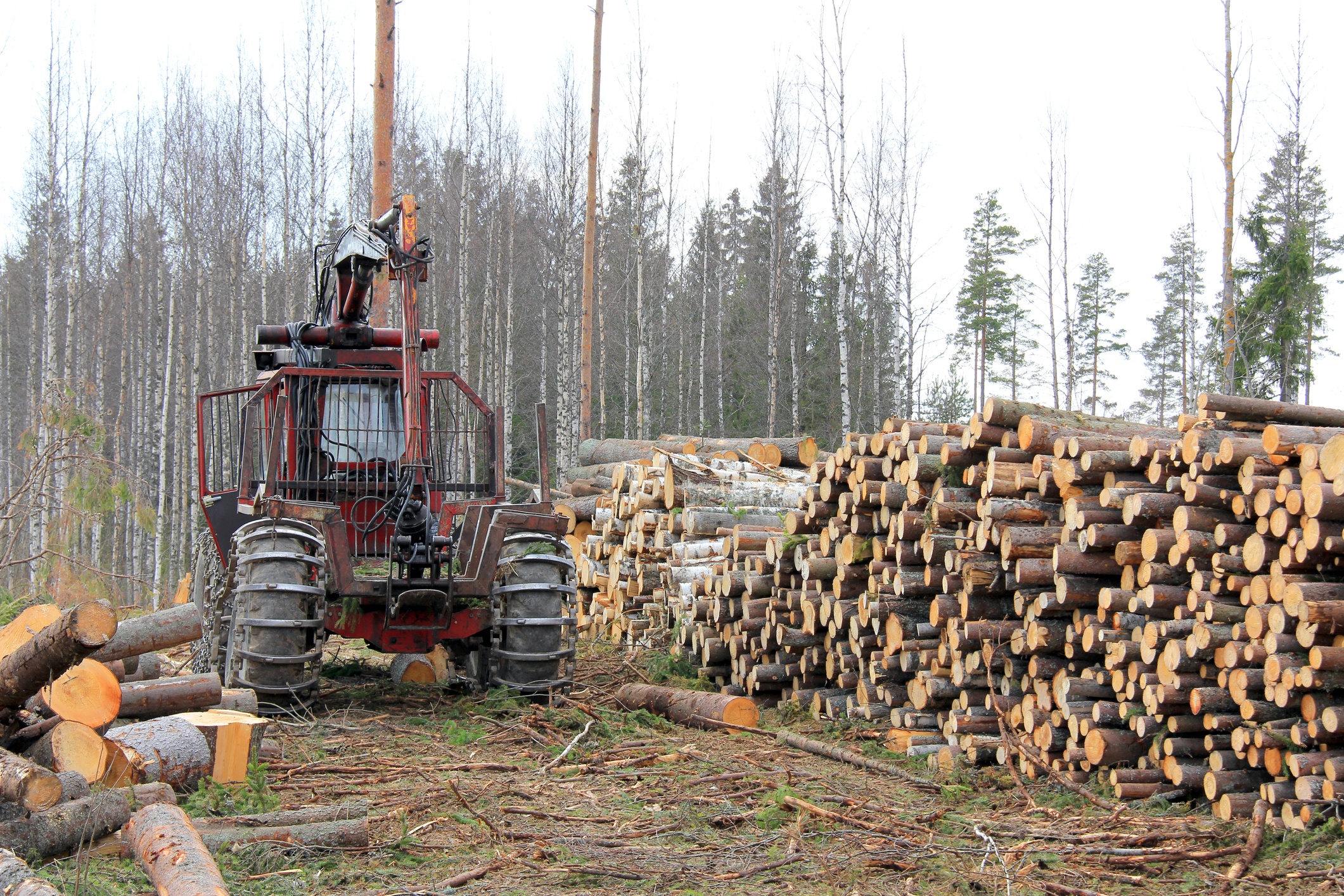 The Forestry Five: Must-have Logging Tires for 2016
